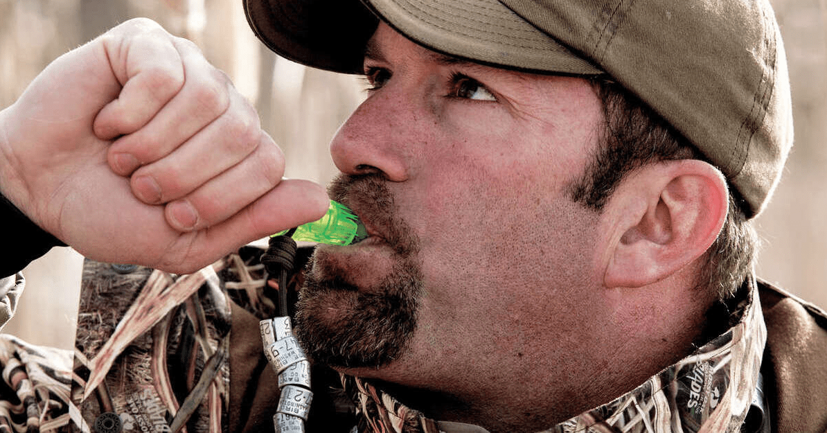 Top 7 Tactics for Calling Ducks When Hunting in the Woods for a Kill ...