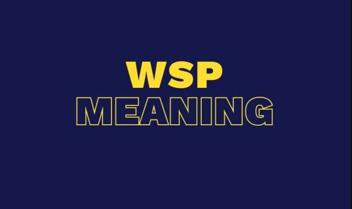 What is the Meaning of WPS on Snapchat? - Hybrid Cloud Tech