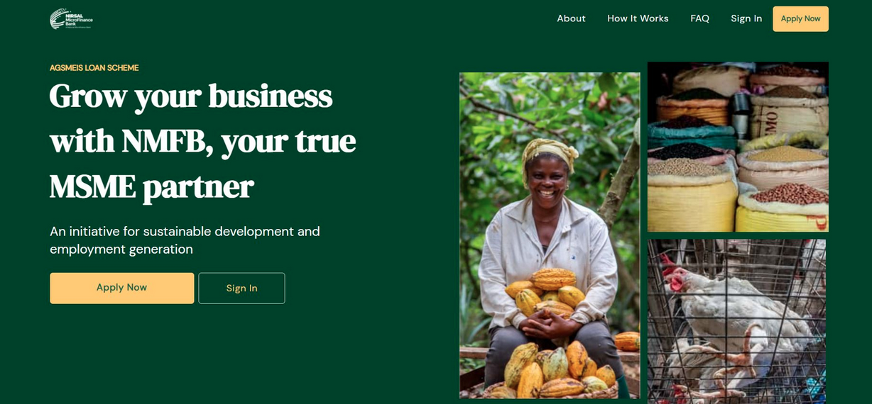 CBN Loan Application Guide: Applying for AGSMEIS without Collateral - Hybrid Cloud Tech